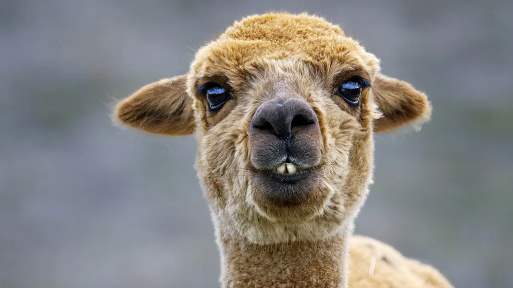 Eight ways to stay happier, BBC Future